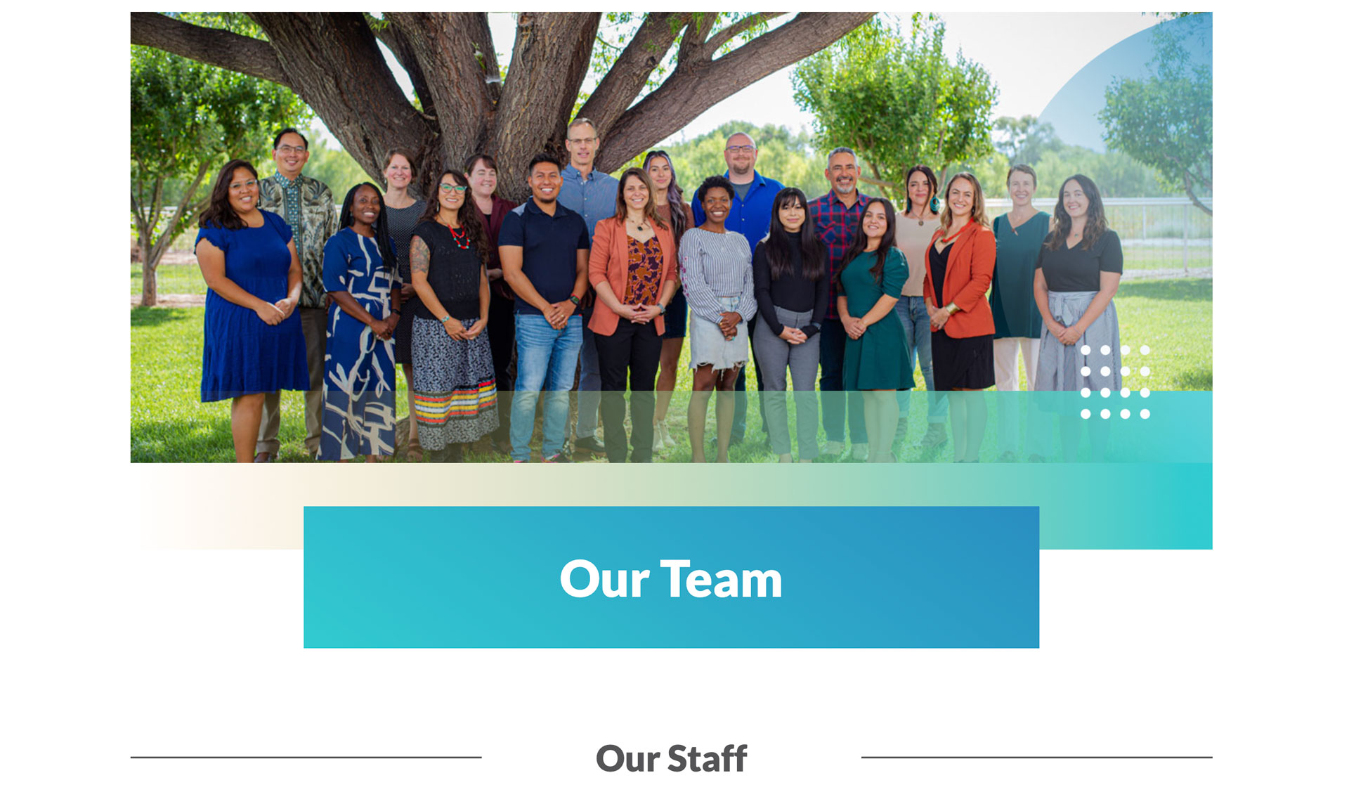 Our Team - Future Focused Education